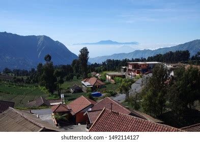 Image result for Java Island Landscape