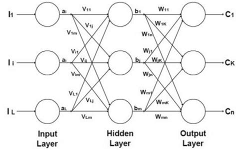 Image result for Single Neuron Structure in Multilayer Perceptron