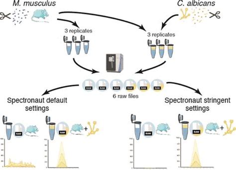 Image result for Spectronaut Analysis Tutorial