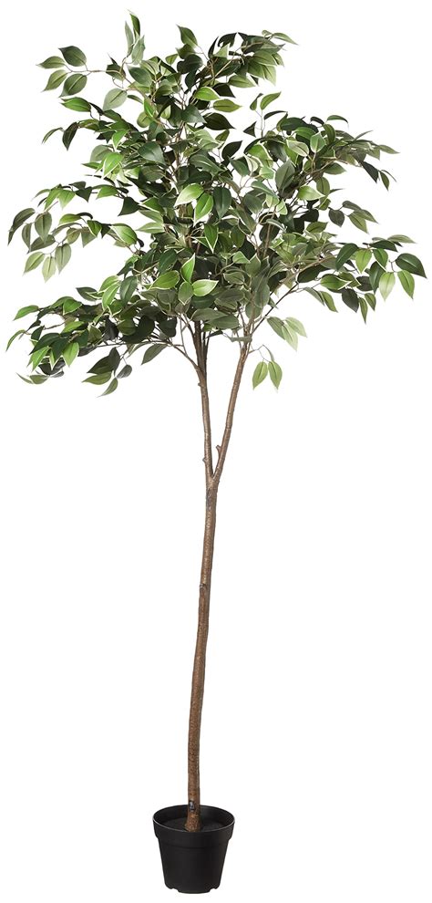 Image result for Fake Ficus Tree