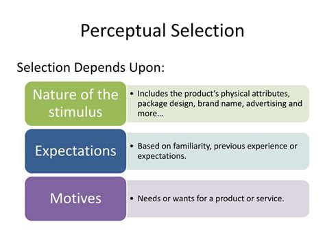 Image result for Example of Selection in Perception
