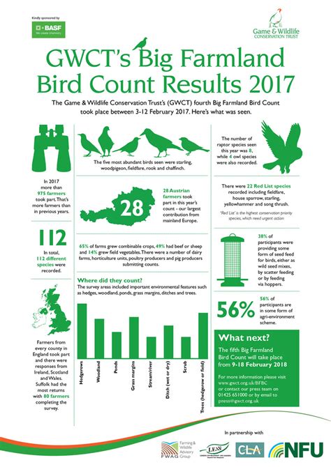 Image result for Example of RPA Bird Count