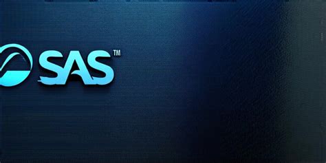 Image result for SAS Programming Language