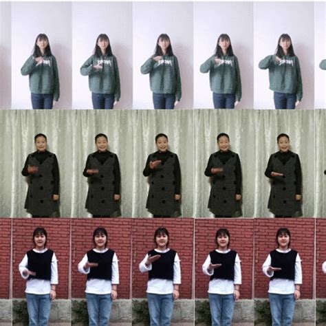 Image result for Chinese Sign Language