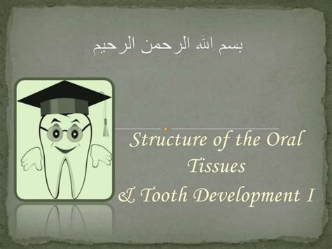 Image result for Tooth Development Video