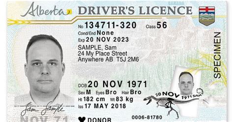 Image result for How to Find Drivers License