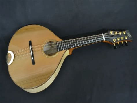 Image result for 10 String Mandolin