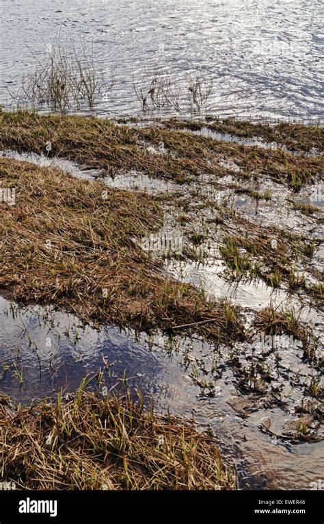 Image result for Dry Spring