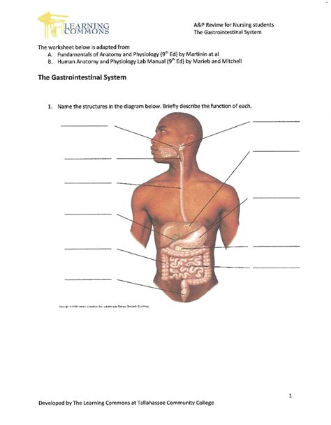 Image result for Homework Digestive System