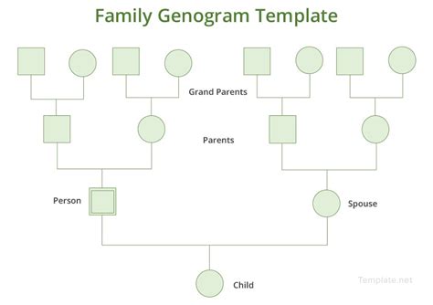 Image result for Genogram Worksheet