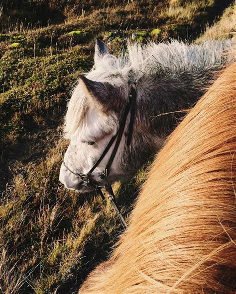 Image result for Animated Map Path