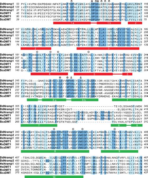 Image result for Sequence Alignment Coloring