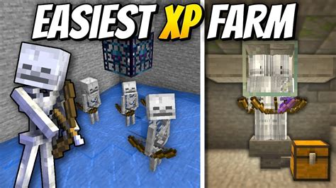 Image result for How to Make a Skeleton Farm Java