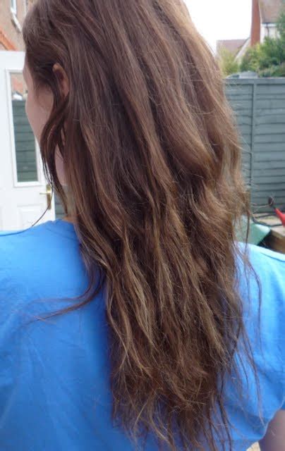 Image result for Hair Color Disasters