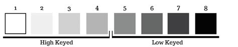 Image result for Tonal Value Scale Basics