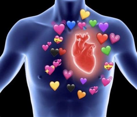 Image result for Tha Tim