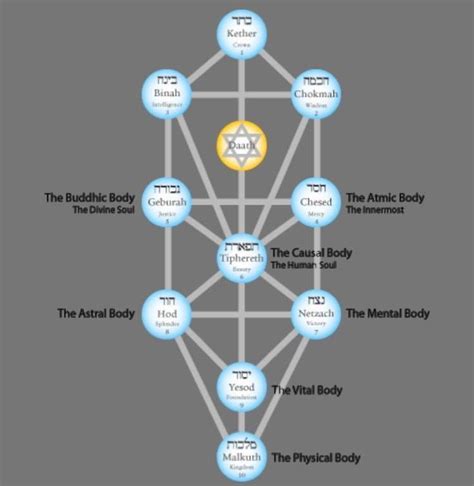 Image result for Zohan Life Tree