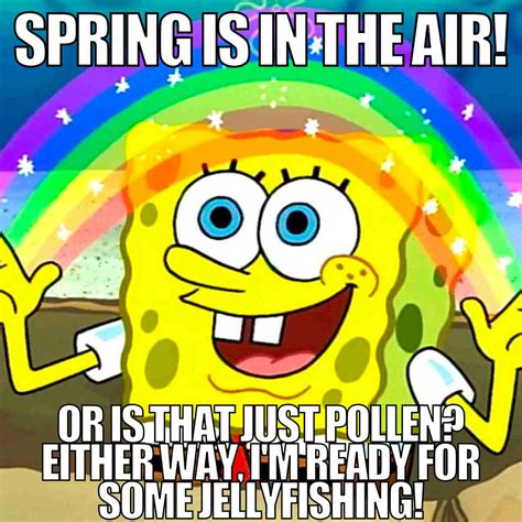 Image result for Spring Vivaldi Meme