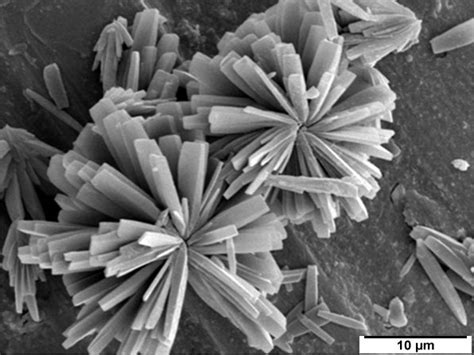 Image result for Microscope Crystal Compemnsator