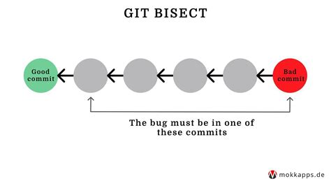 Image result for Bisect Workouts