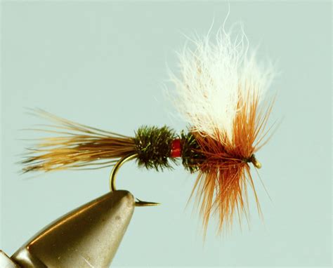 Image result for Dry-Fly Attractor Patterns