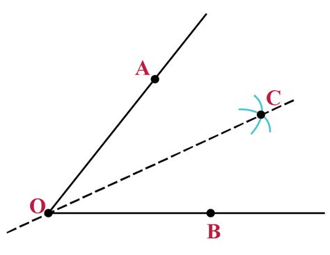 Image result for Bisect in Geometry Examples