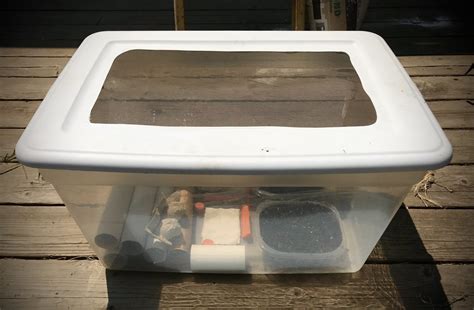 Image result for Breeding Crickets Setup