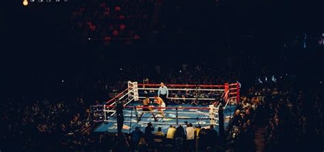 Image result for Boxing Bell Sound