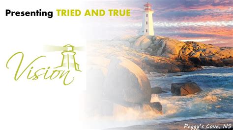 Image result for Vision Collection