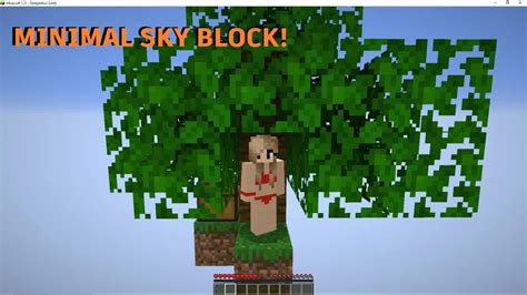 Image result for Sky Block Java