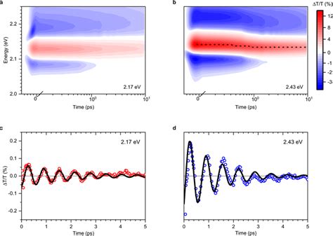 Image result for Transient Absorption Spectroscopy