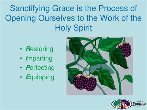 Image result for Object Lesson On Sanctifying Grace