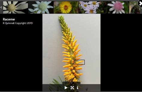 Image result for Learning Botany Australia