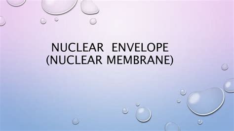 Image result for Nuclear Envelope Membrane Function