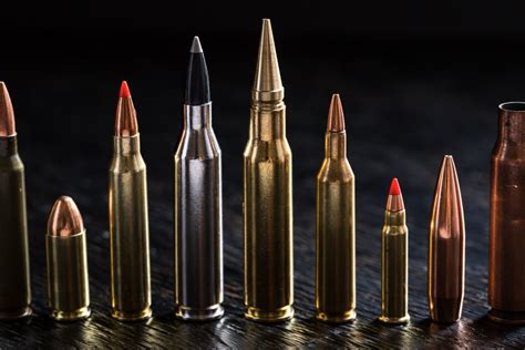 Image result for Different Types of Bullet Tips