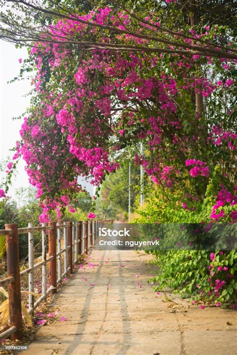 Image result for Paper Flower Tree