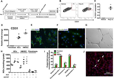 Image result for Direct Reprogramming