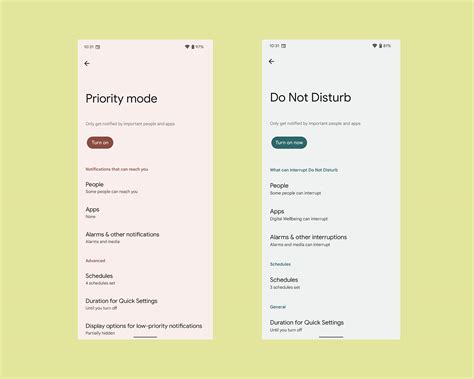 Image result for Android 13 Developer Mode