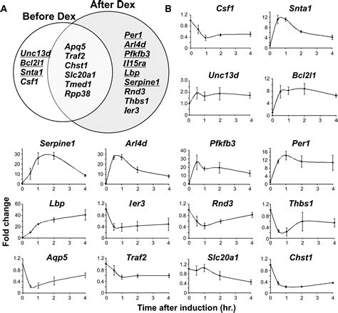 Image result for Distal Control Elements