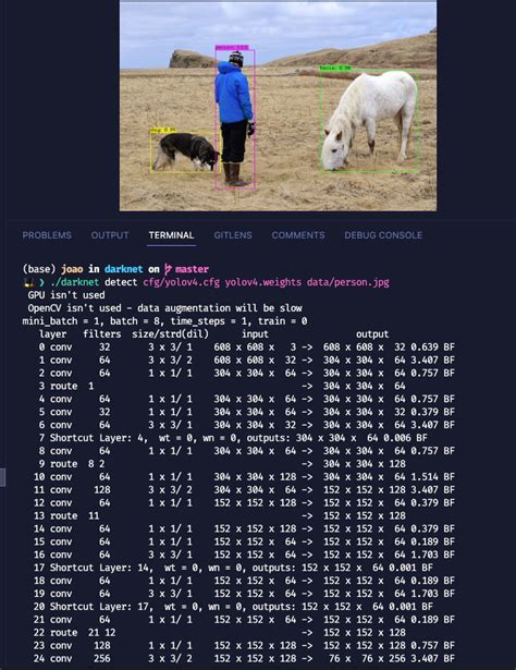 Image result for Yolo Implementation in Python Example
