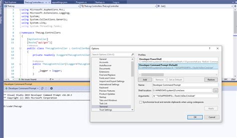 Image result for Visual Studio Terminal Window