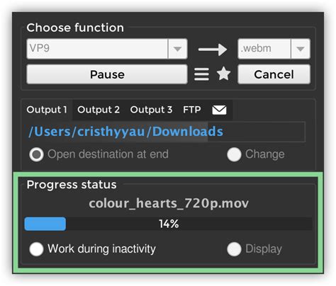 Image result for Shutter Encoder WebM With Alpha