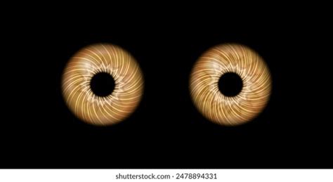 Image result for Eye Pattern Types
