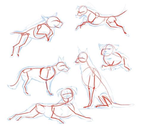 Image result for How to Draw Dogs Tutorial