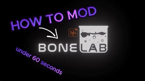 Image result for BoneLab Timeline Mod Installation