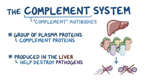 Image result for Complement System Components