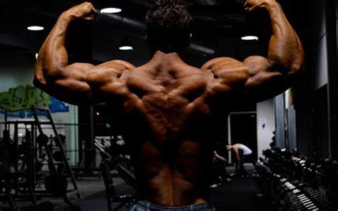 Image result for Back Workout for Definition