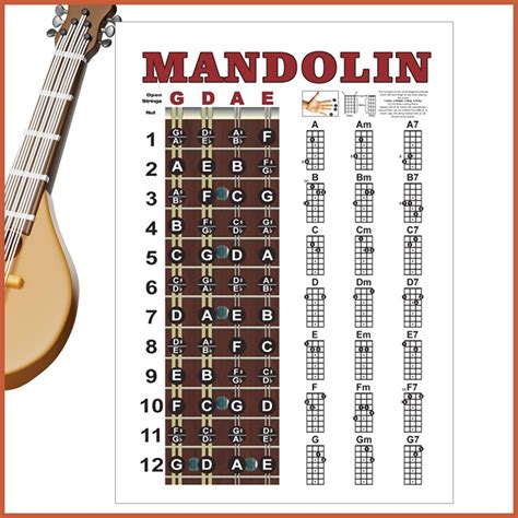 Image result for Standard Mandolin Tuning Chart