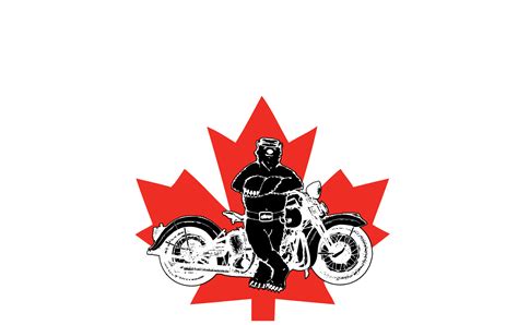 Image result for Harley-Davidson Performance Machine