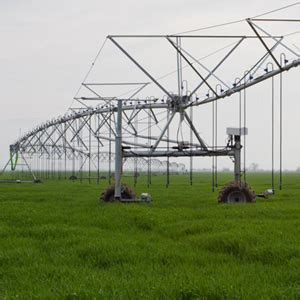 Irrigation efficiency | Minimize water losses with sprinklers